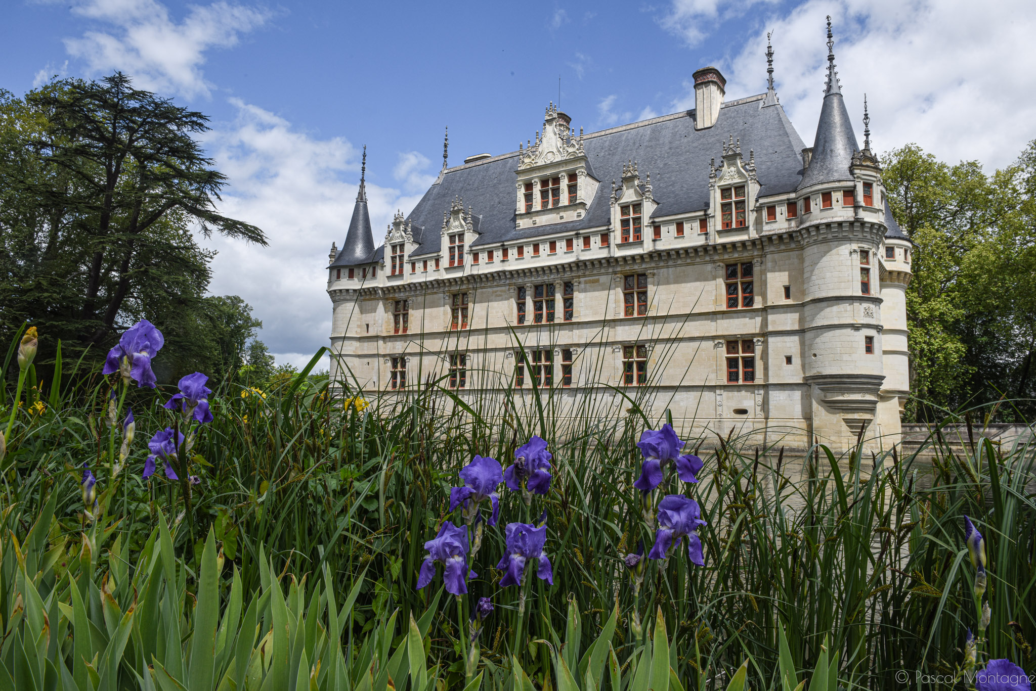 Info Tours | Le top 5 des animations pour les 500 ans du Château d’Azay ...